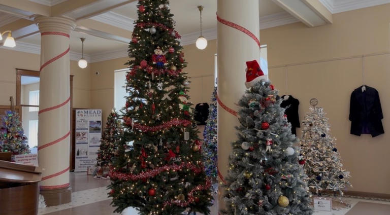 Record display for Hall of Trees at Mead Museum
