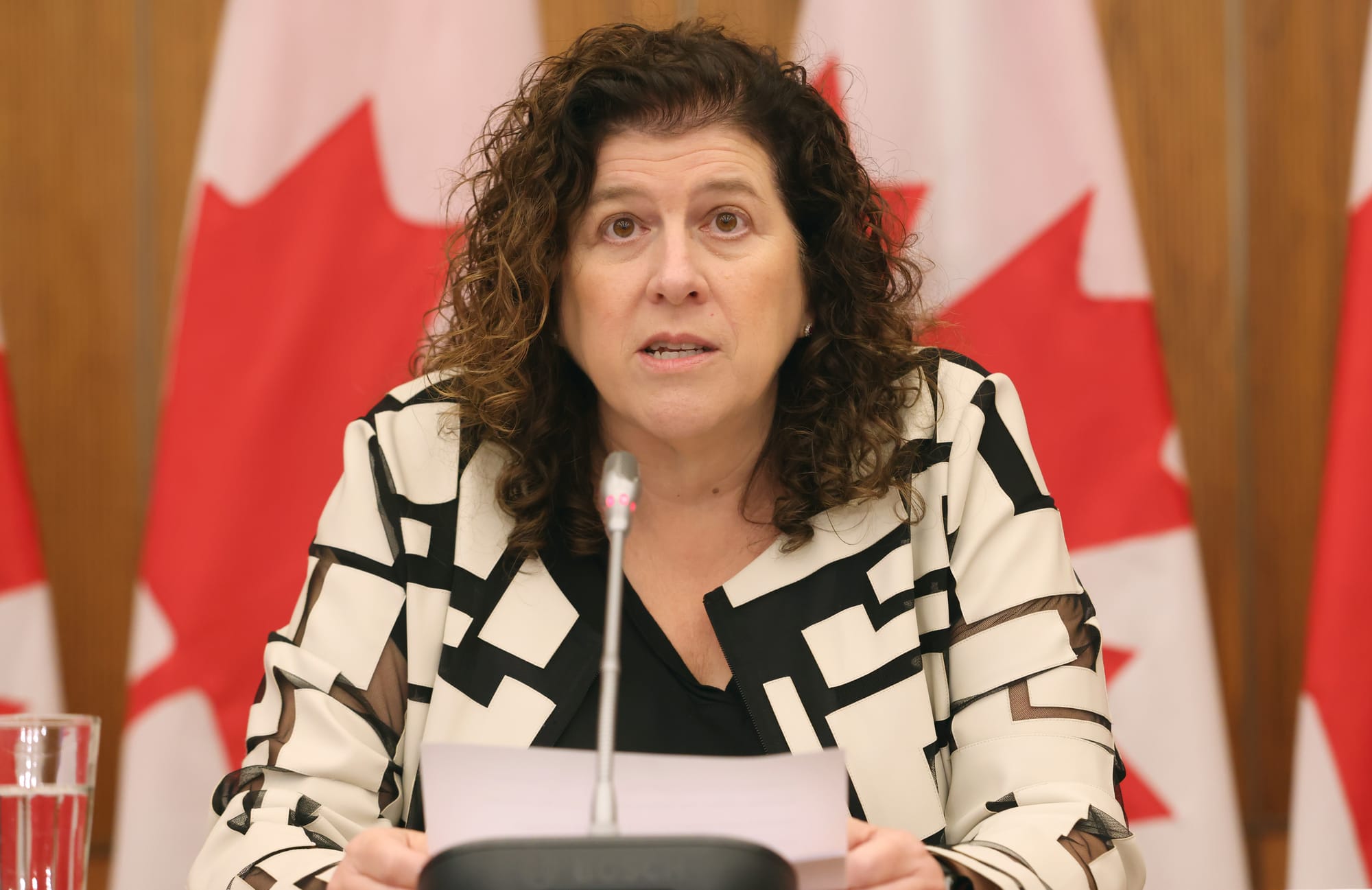 Maximus Canada angling to provide government call centre services after ...