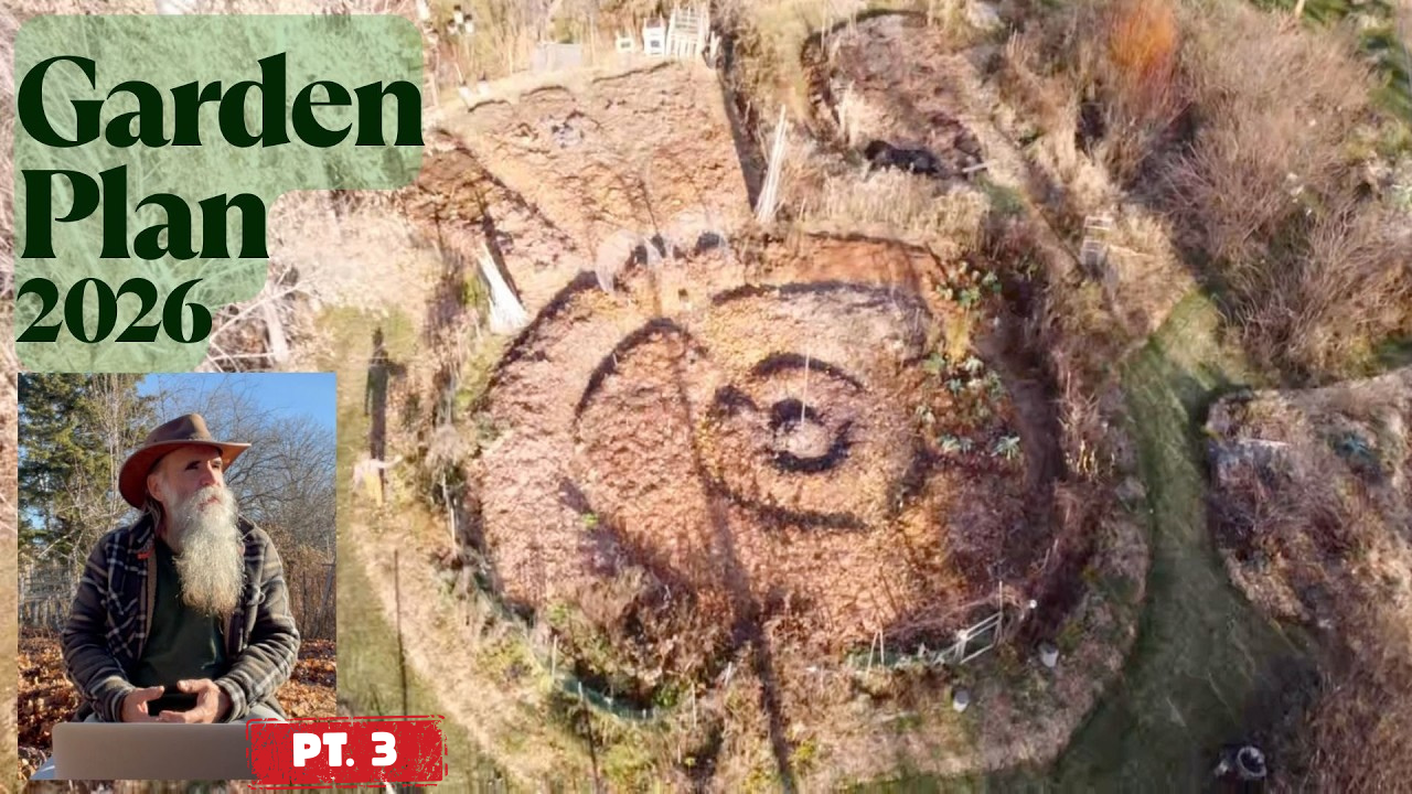 Full 2026 garden plan — layout, crop rotations & companion planting ...