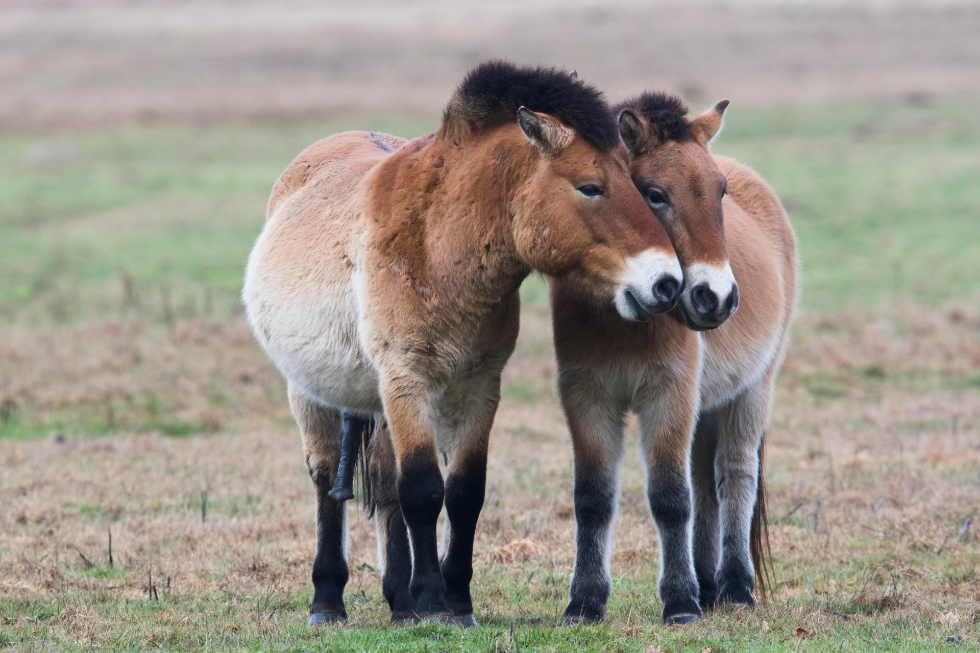 Wildlife named after people