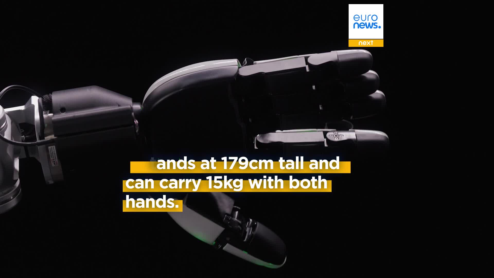 Meet Alpha: The humanoid robot that learned to walk in 48 hours