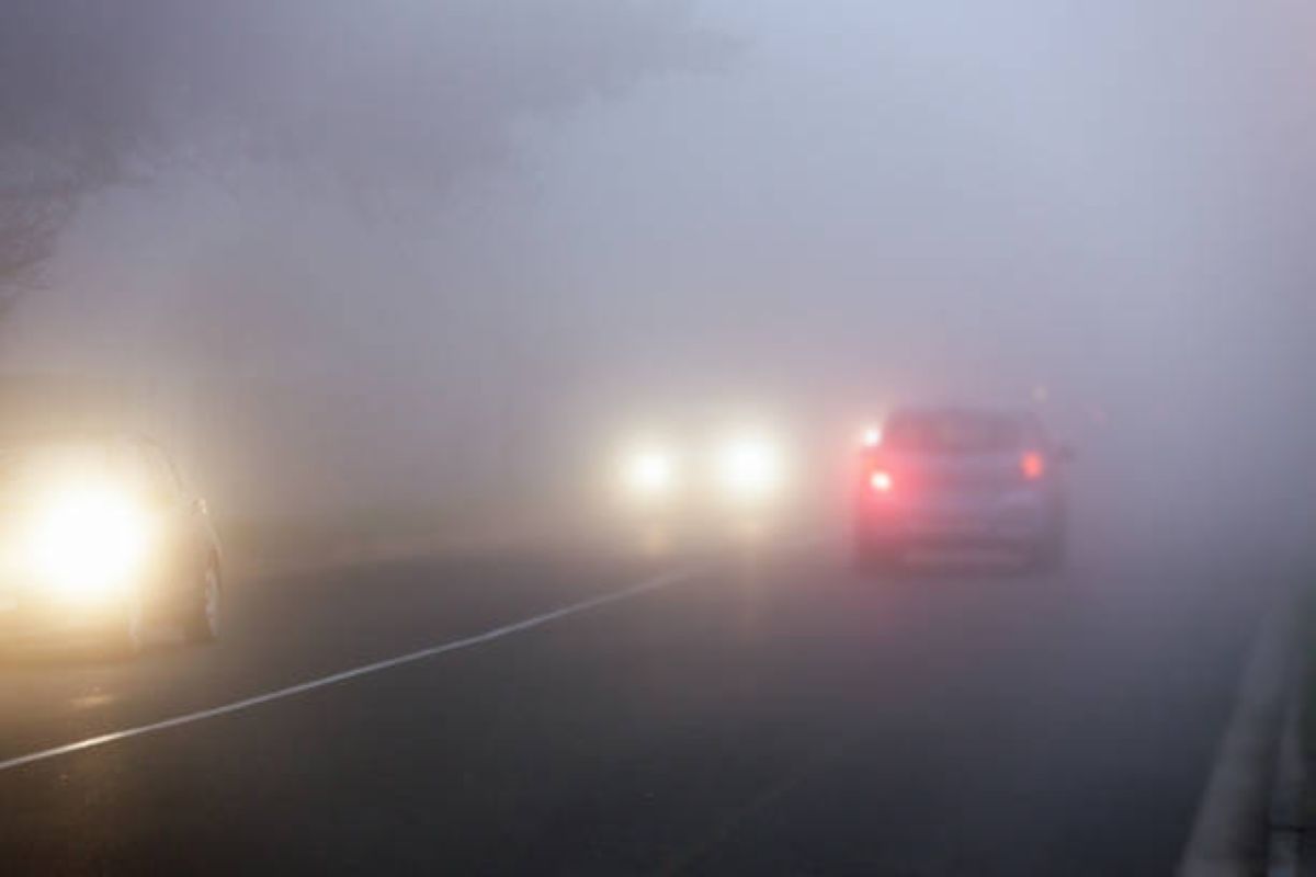 Fog and coastal rain are expected in the Eastern Cape