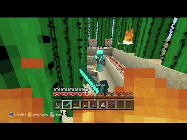 Minecraft w/ my little brother - Cactus Arena!