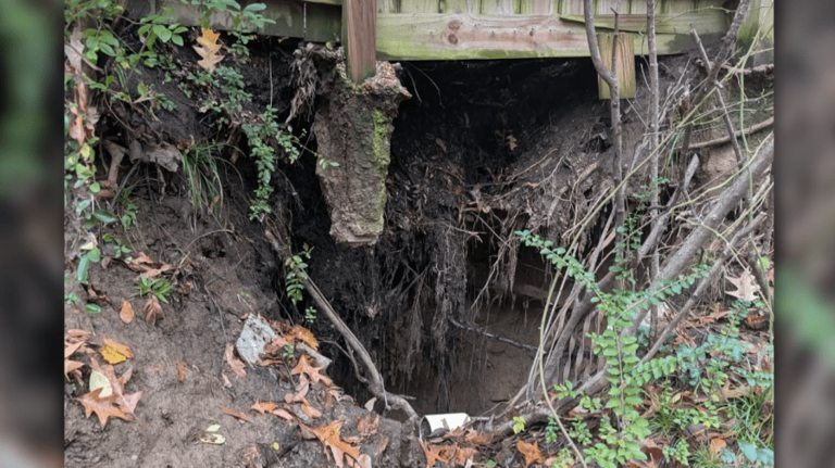 Woman says city responsible for large sinkhole in yard