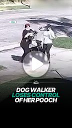 Woman struggles to manage her dog during tense moment