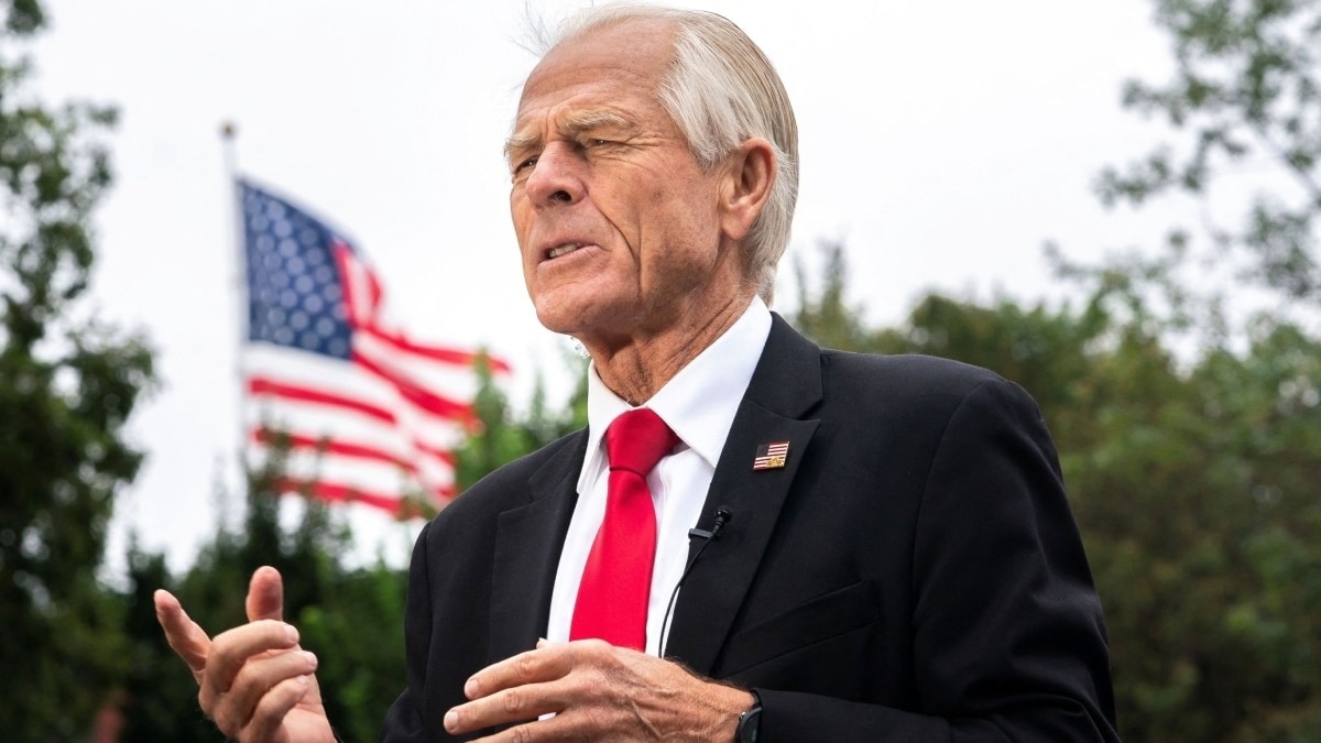 Navarro says Biden caused hamburger inflation and Trump would fix beef ...
