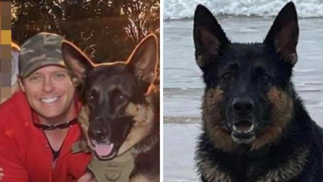 Huge update after Arnie found dead in car