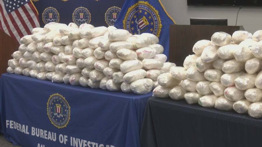 Drugs found hidden in blackberry shipments in massive meth bust in Georgia