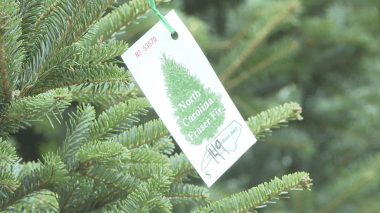With more people switching to real trees, how are Christmas tree farms ...
