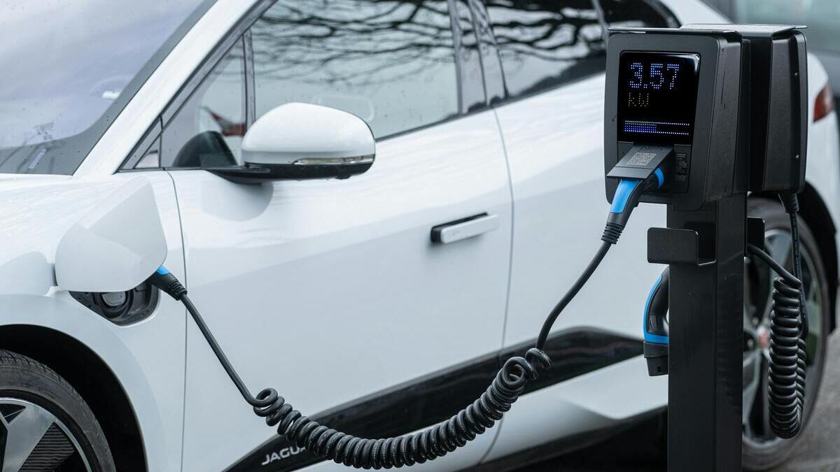 Plug-in hybrid sales soar as petrol vehicles lose ground