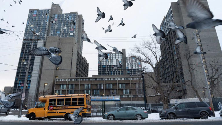 Anxiety grips Minneapolis’s Somali community as immigration agents zero ...