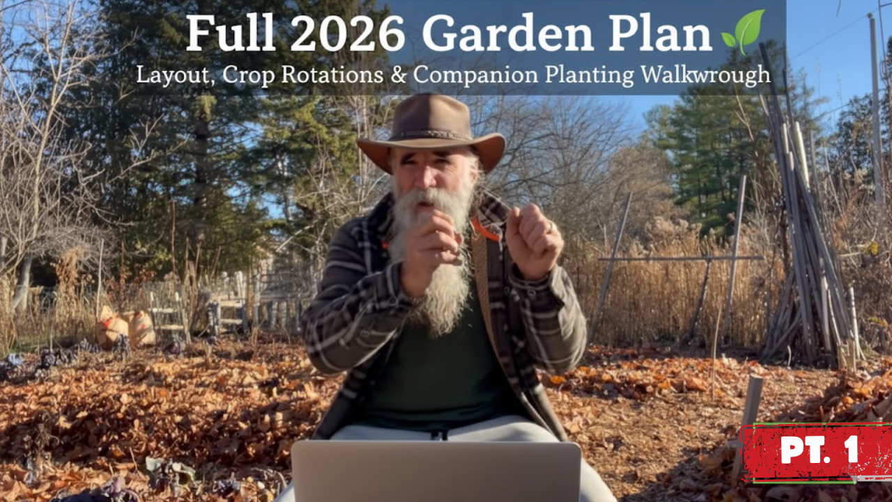 Full 2026 garden plan — layout, crop rotations & companion planting ...