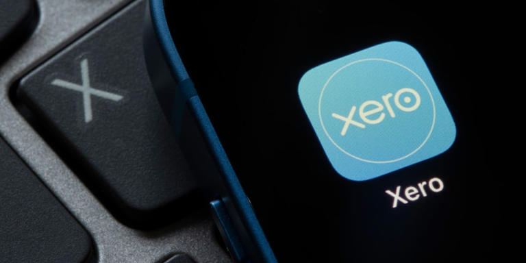 Xero to start charging developers API usage fees, replacing revenue ...