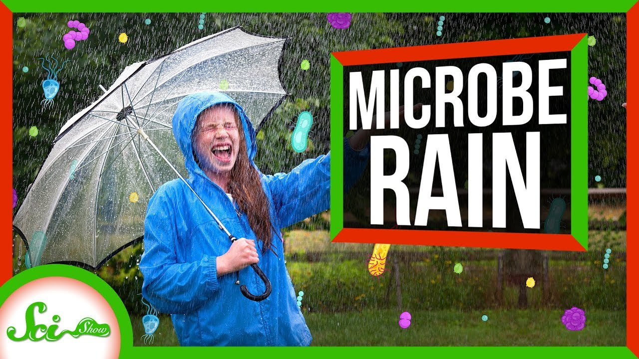 Bacteria and viruses are raining down on us all the time