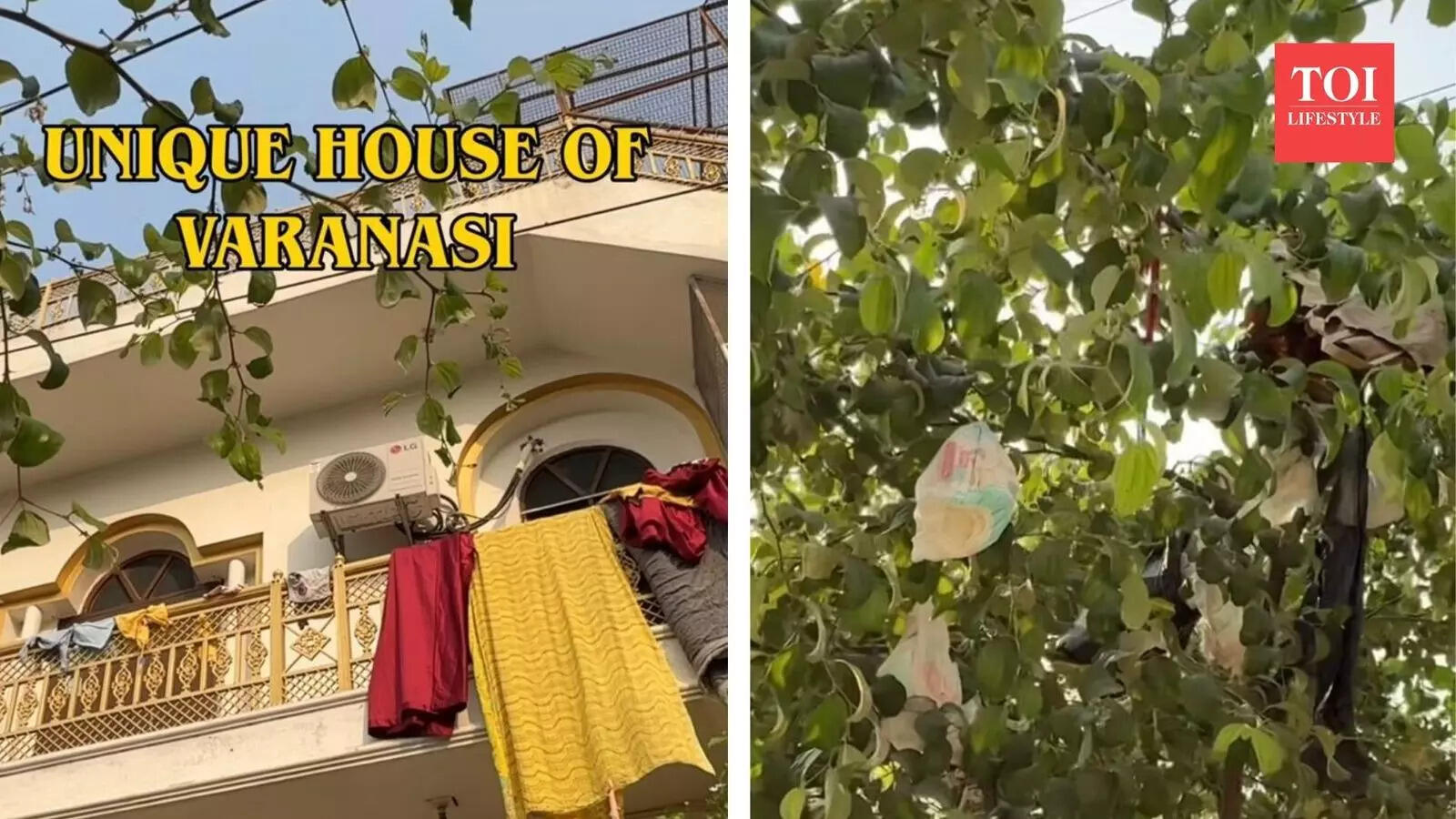 Watch: Varanasi’s sad diaper tree goes viral - here’s the story behind it