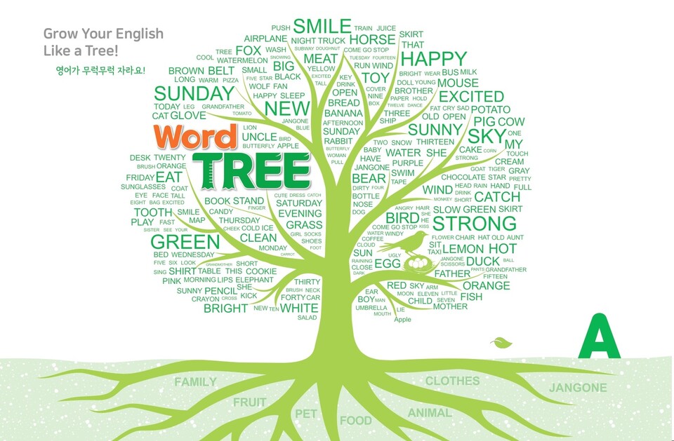 장원교육, 초등 기초 영어 실력 키워주는 'Word Tree' 신규 출시