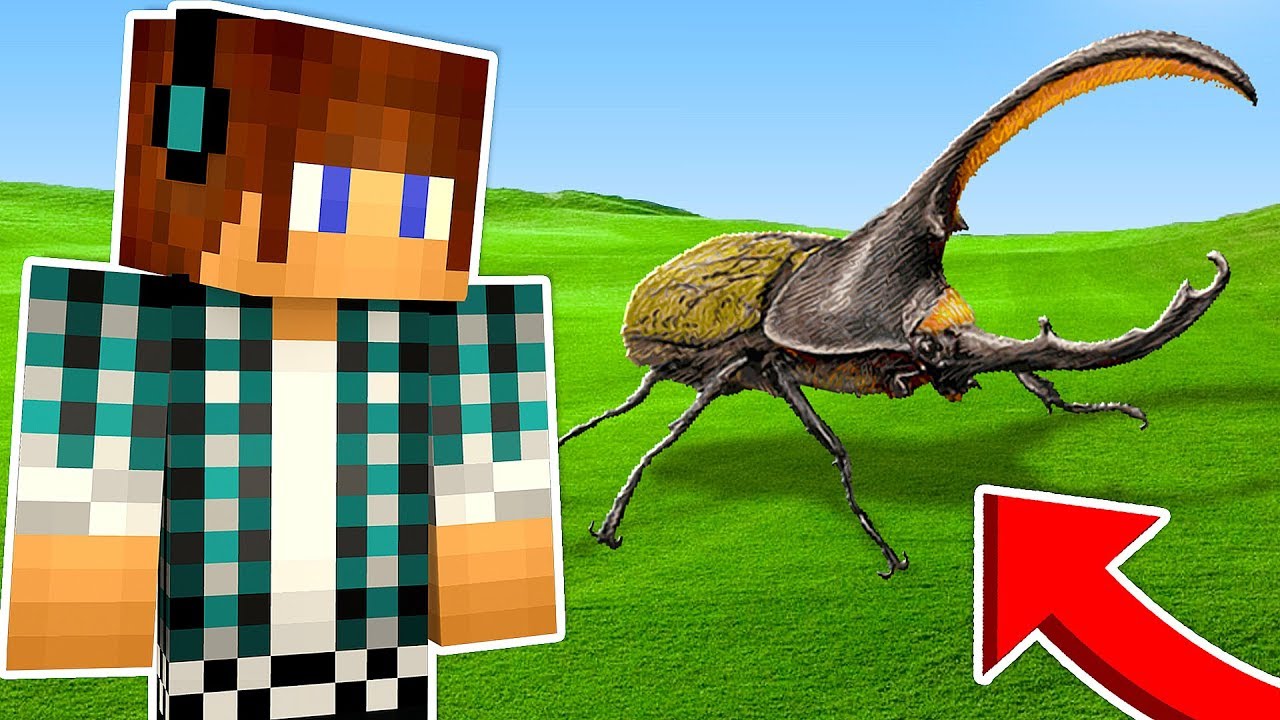 Encontrei um inseto gigante no meu Minecraft! - Minecraft survival #51