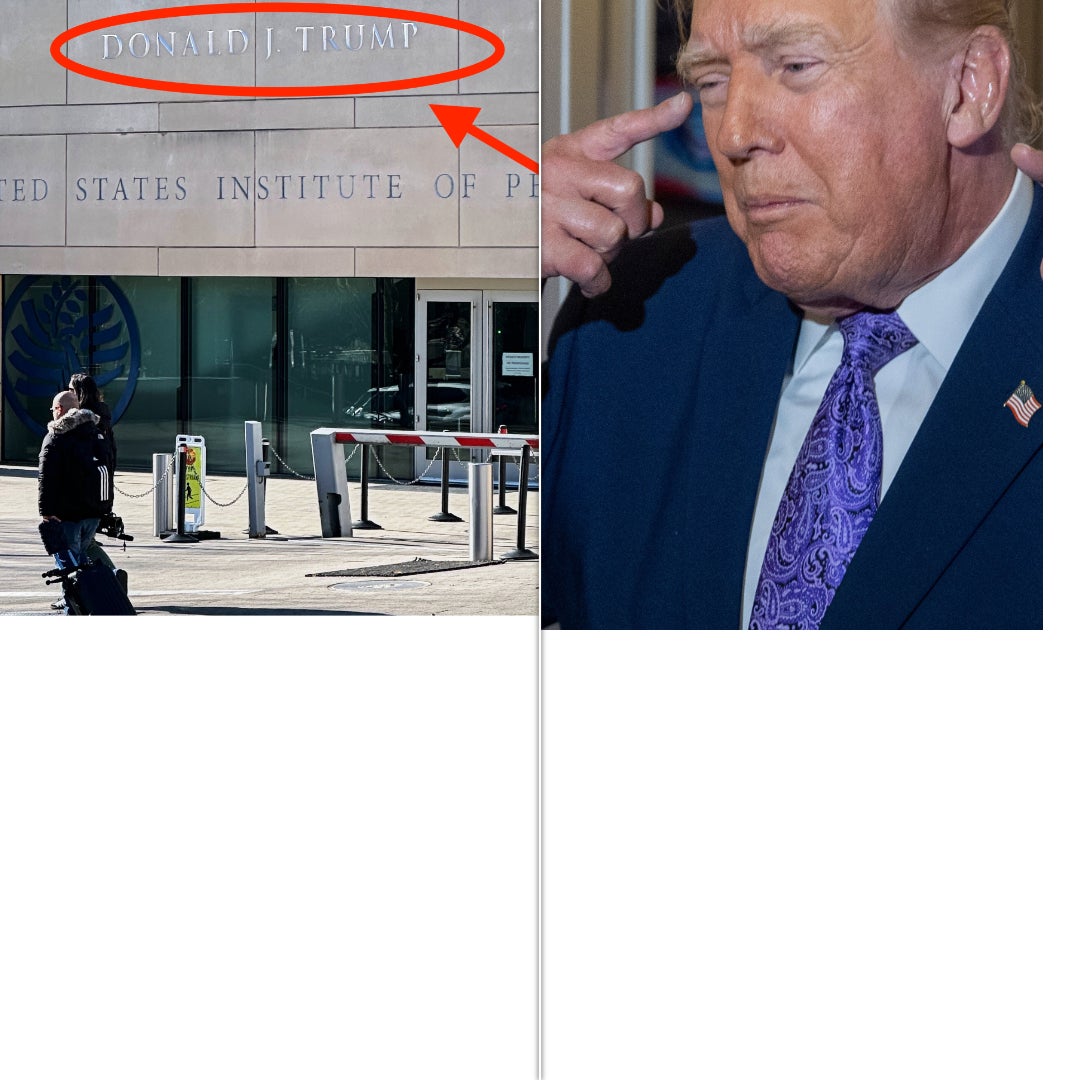 Donald Trump's Newest Namesake Nixed As 'New Level Insanity'