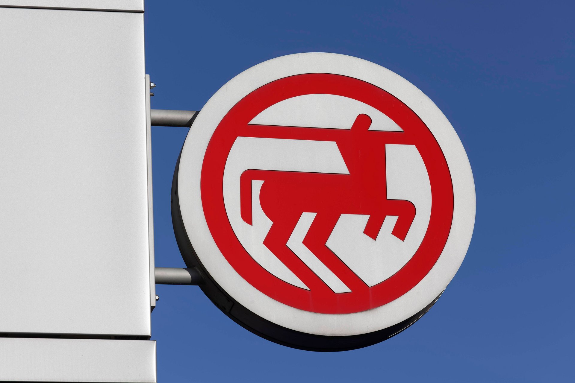 Diese LED-Glaskugel von Rossmann ist schöner als jeder Weihnachtsstern ...