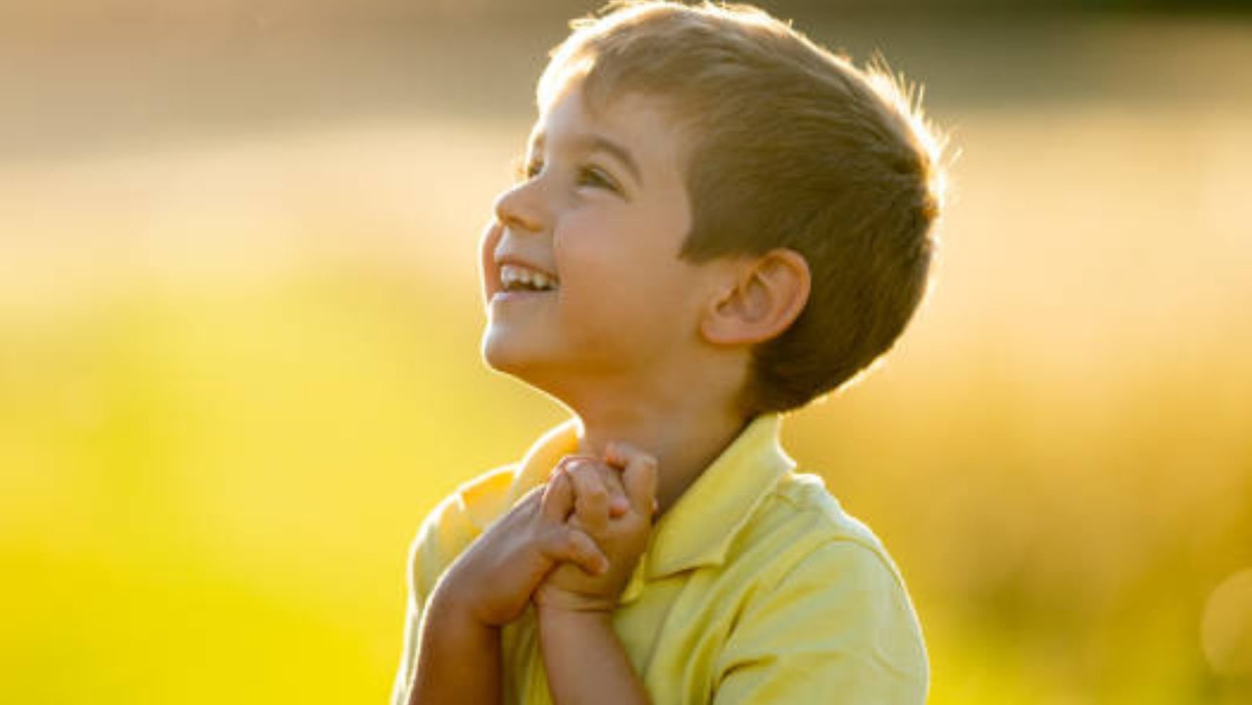 Si tu hijo dice alguna de estas 4 frases, enhorabuena: su inteligencia ...