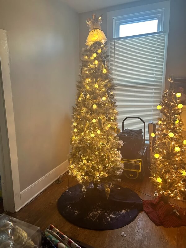 Dumpster diver shares photos of stunning discoveries ahead of Christmas ...