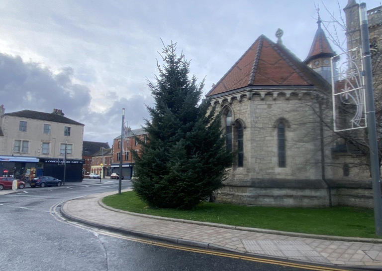 Video: Hartlepool town centre's main Christmas tree moves to new ...