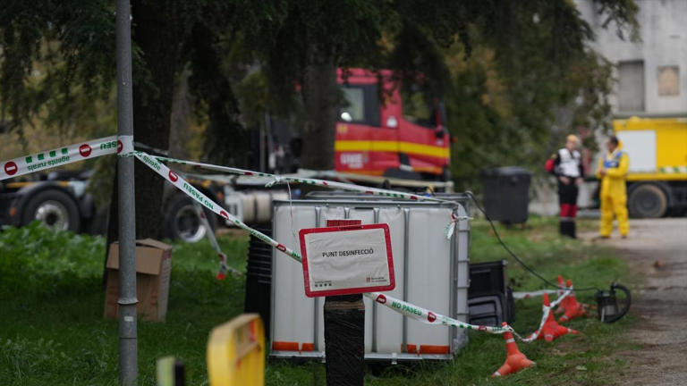 La Generalitat confirma que el brote de peste porcina no salió del ...