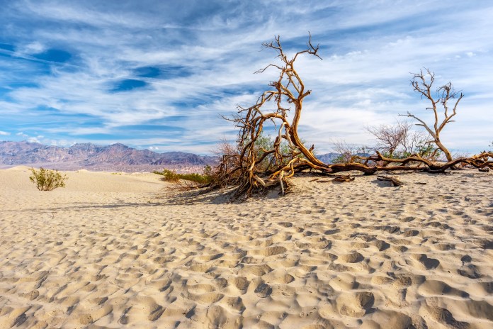 Death Valley’s record rainfall and how to stay calm amid climate extremes