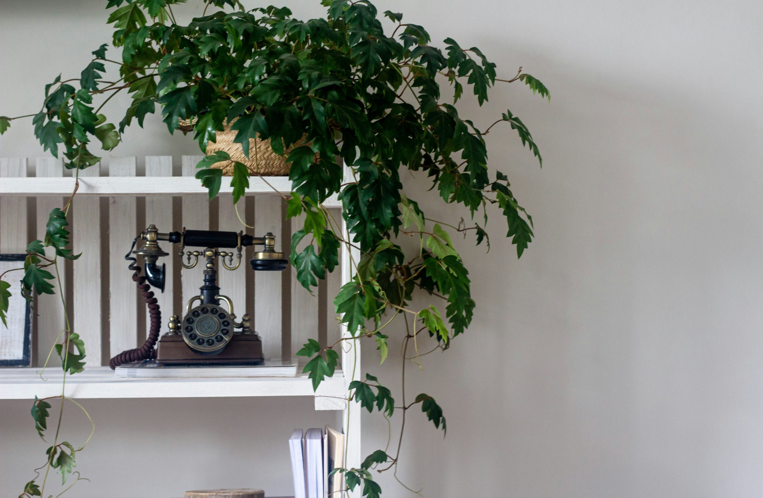 Household items you should never toss