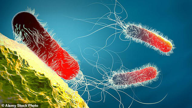 As Leonardo DiCaprio reveals secret pneumonia battle, experts explain ...