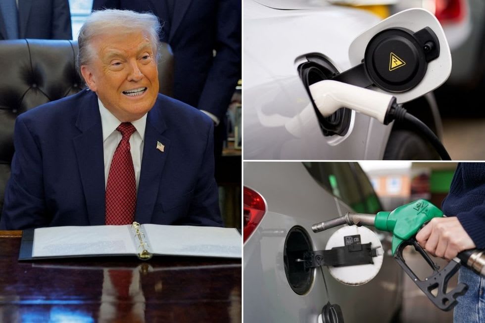 Donald Trump declares war on 'insane' electric cars and pledges to ...