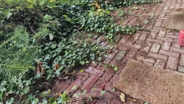 Landscaper shares satisfying time-lapse video after transforming ...