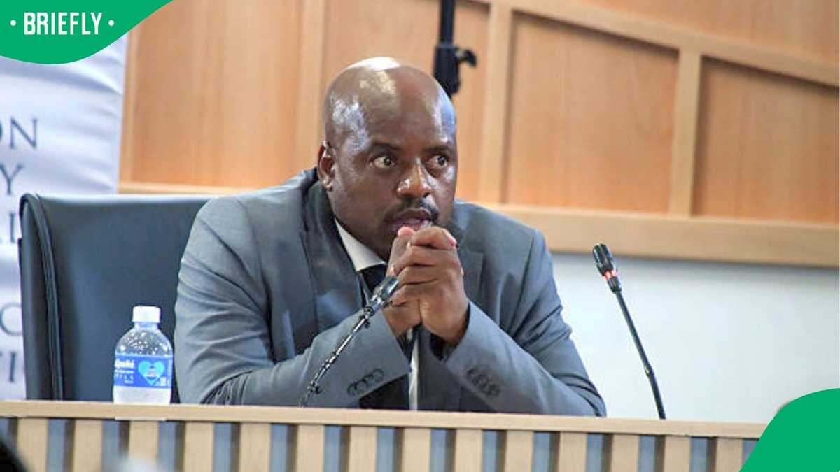 Deputy Chief Mkhwanazi admits 'brotherly' bond with alleged crime ...