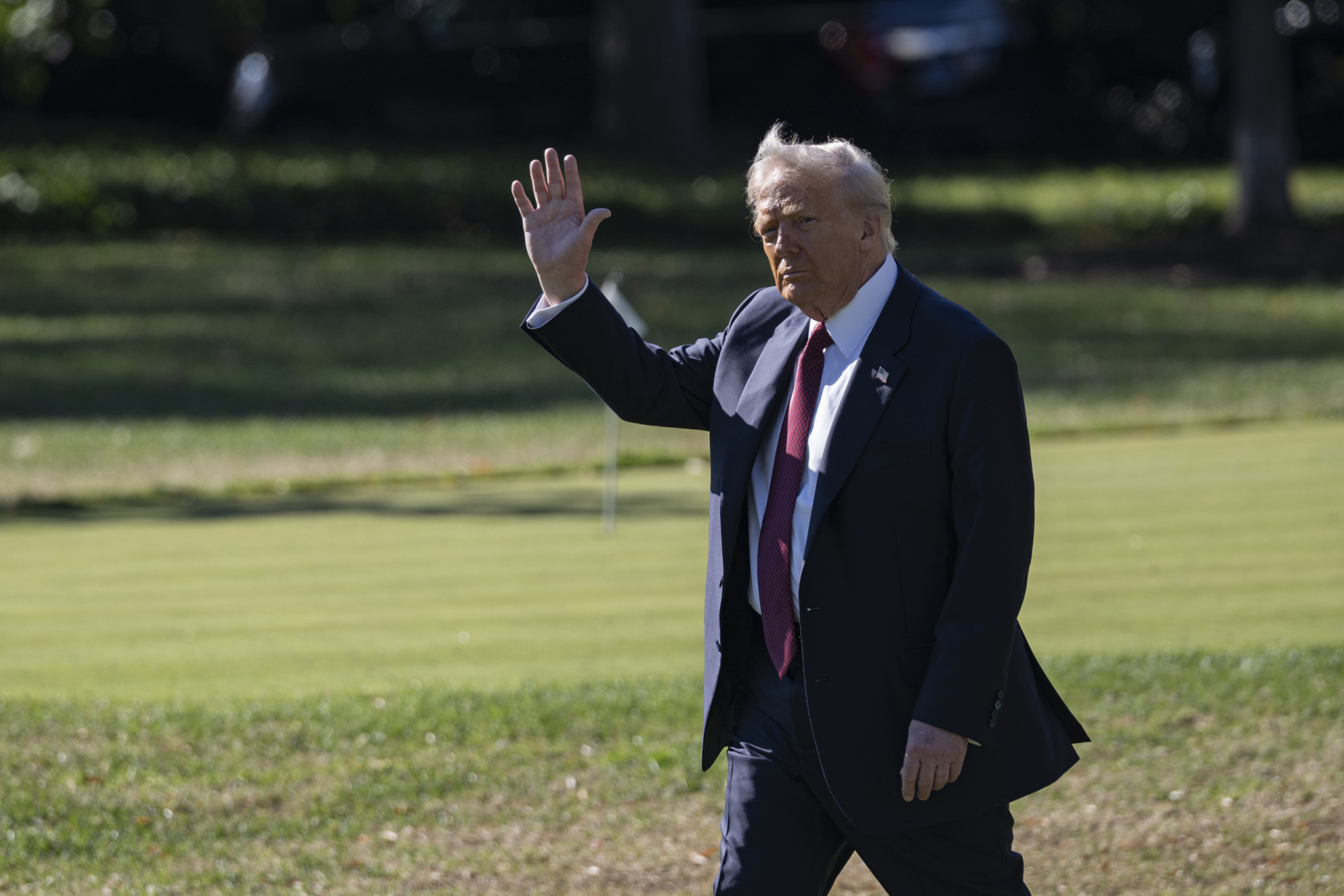 The most asked questions about Donald Trump online (and the answers)