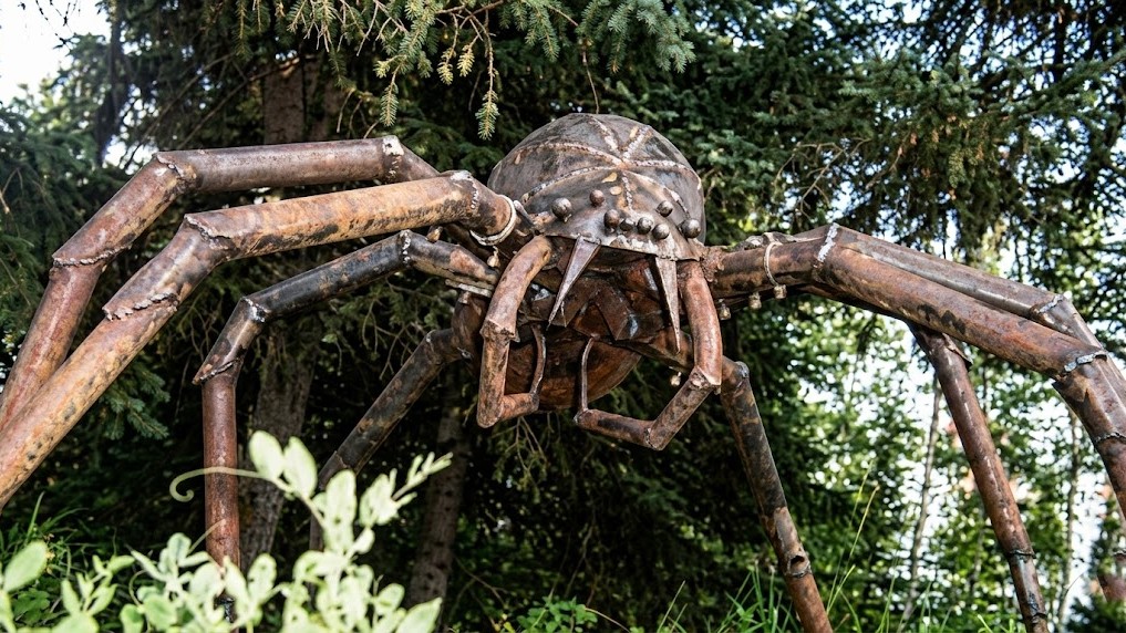 Explorers claim to have seen a human-sized 5-foot leg span spider