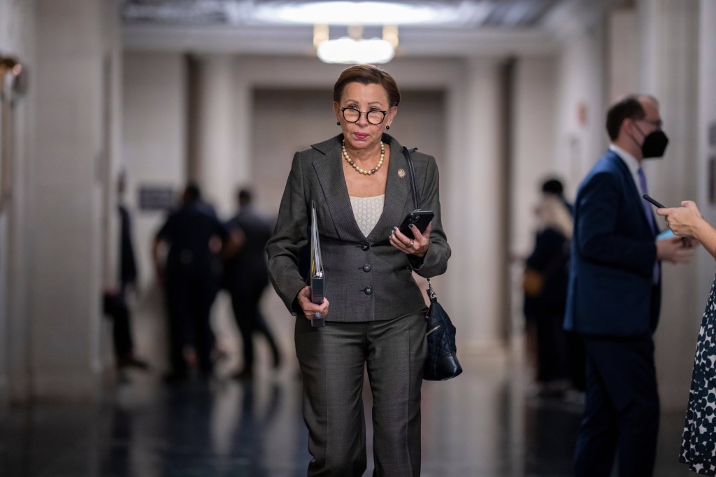 Brooklyn Borough President Antonio Reynoso launches bid to replace Rep ...