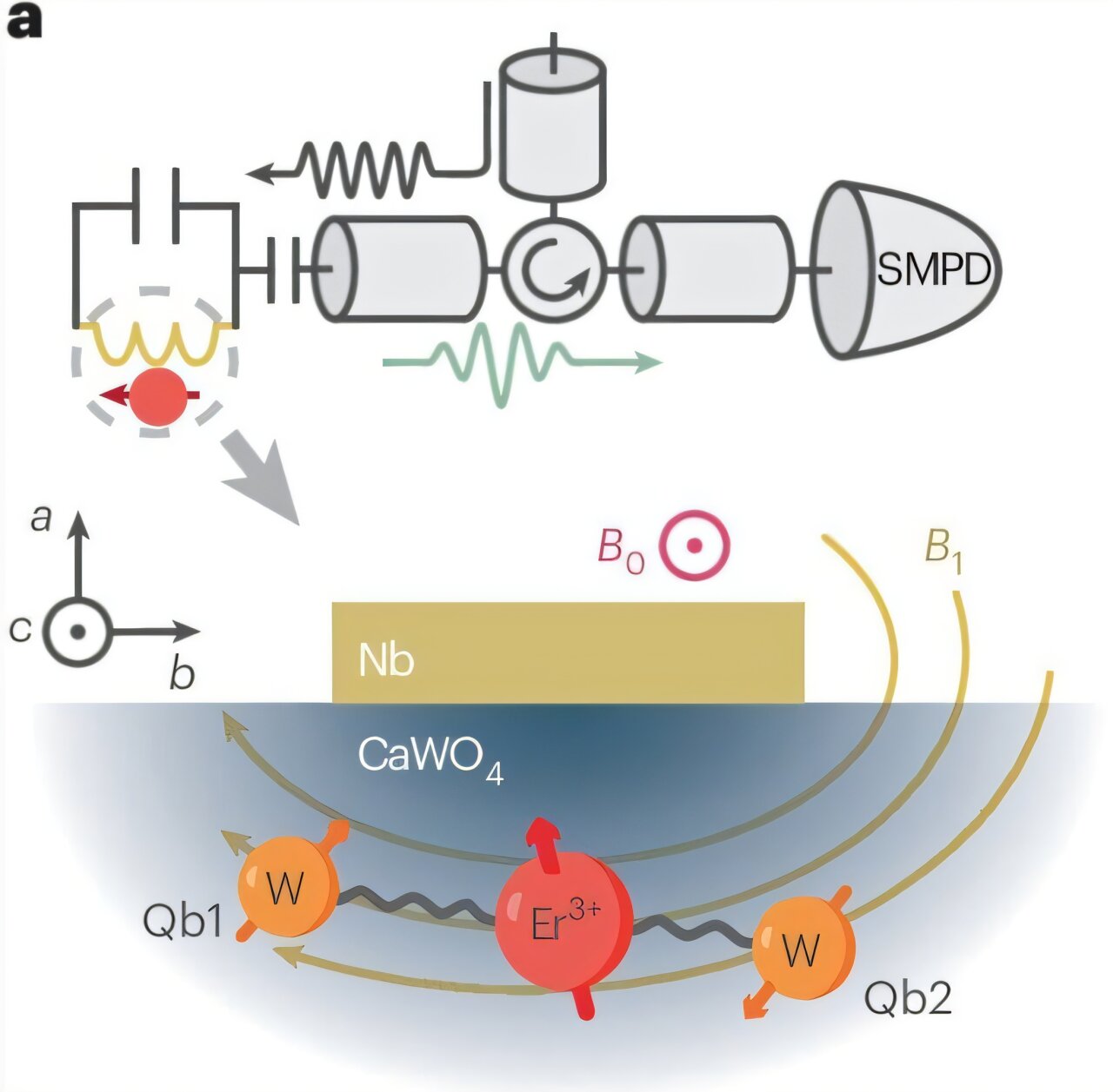 A solid-state quantum processor based on nuclear spins