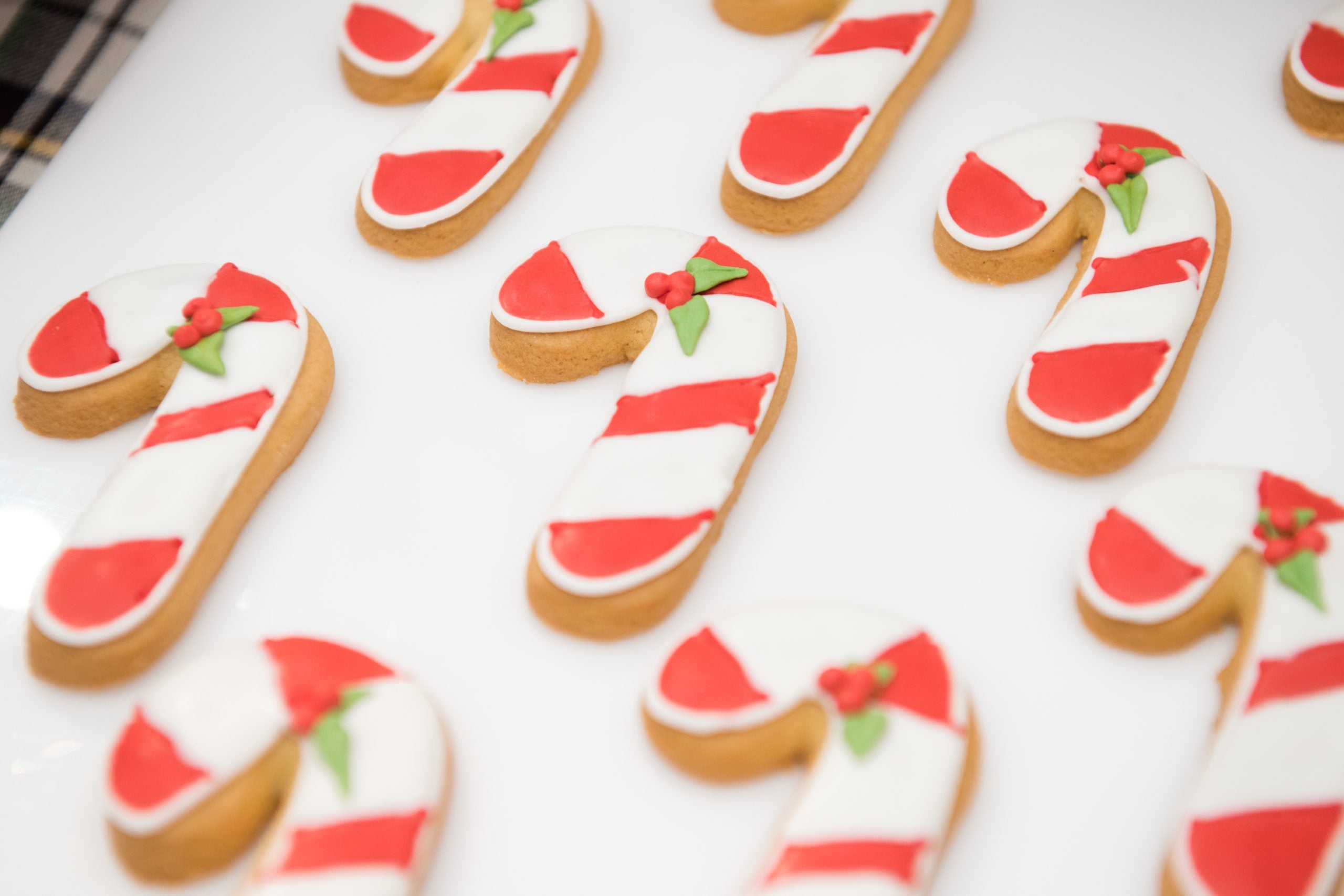 Upgrade your holiday baking with Consumer Reports' top-rated appliances