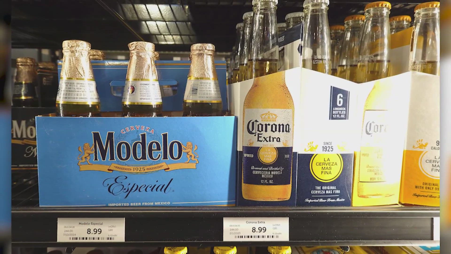Trump immigration push hits Modelo, Corona sales hard