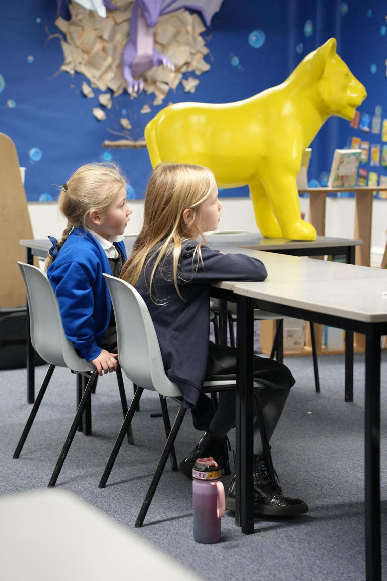 Bestselling illustrator leads cub-painting masterclass at Mosborough ...