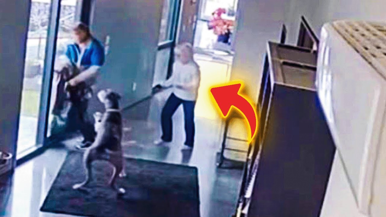 Man comes home from work and his grieving dog reveals a hidden intruder