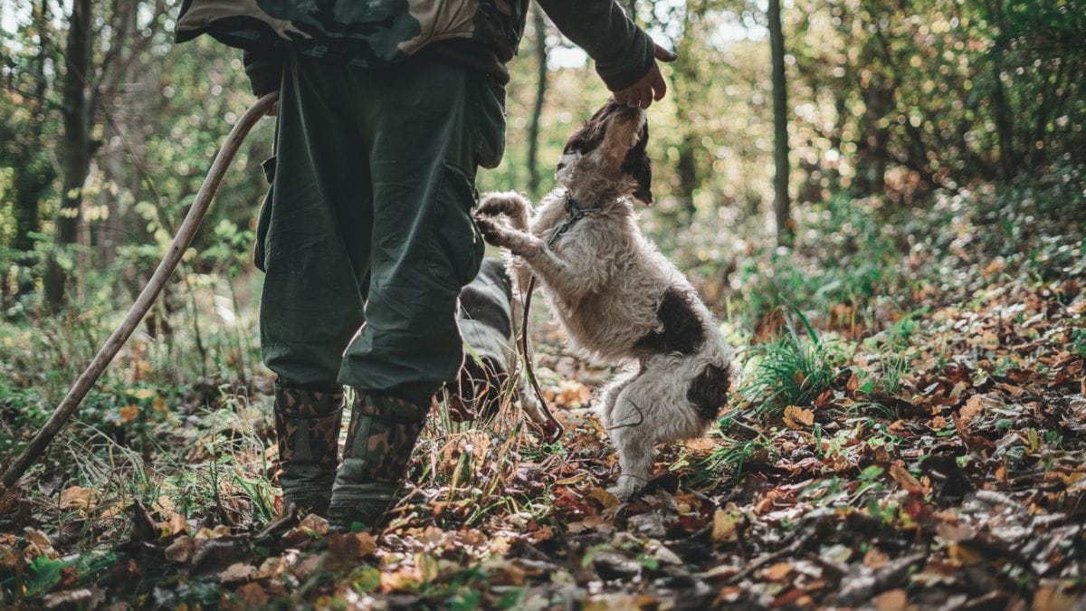Tragedy as hunter drowns while saving his dog