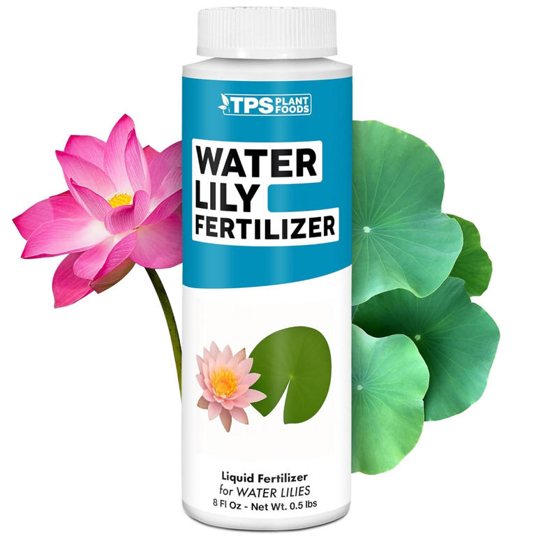How to overwinter tropical waterlilies to enjoy the vivid blooms next year