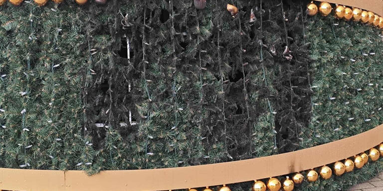 Χίος: Αποπειράθηκαν να κάψουν το χριστουγεννιάτικο δέντρο της πόλης ...