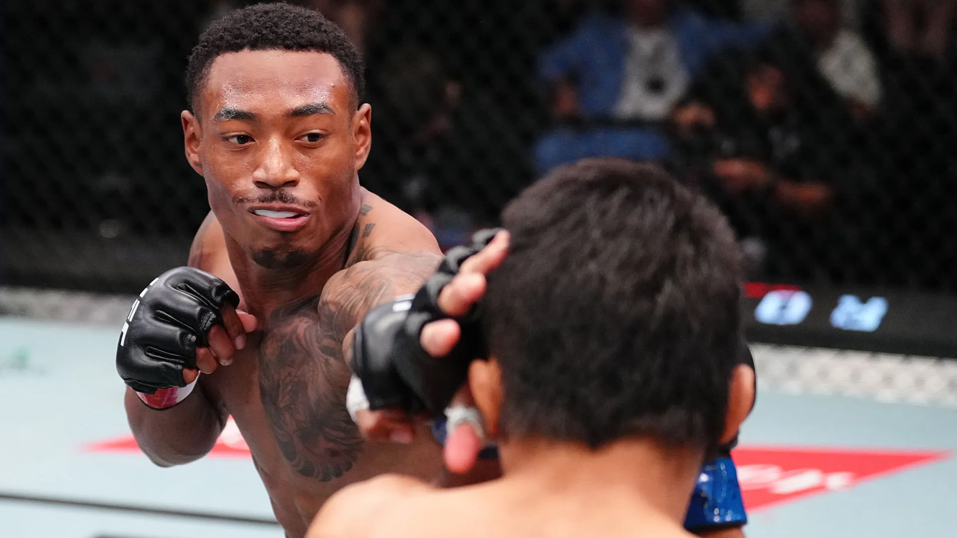 Il se déchaine contre son adversaire après un KO dévastateur : le ...