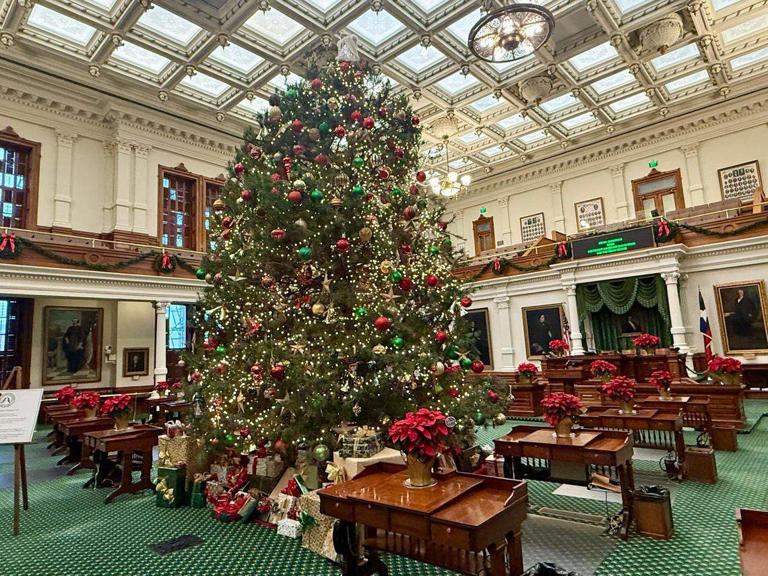 Here's where to find the best, real Christmas tree in North Texas this ...