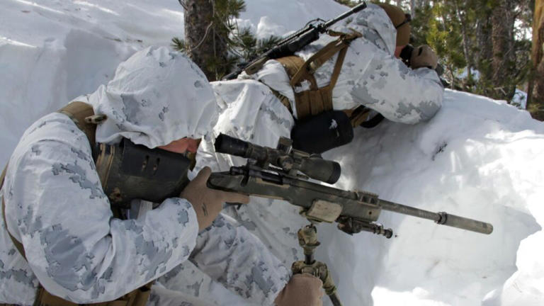 6 reasons why the M40 is Marines' all-time favorite sniper rifle