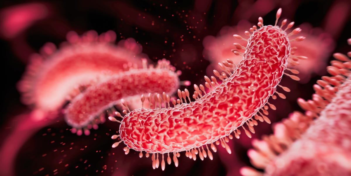 Scientists just discovered how to wipe out the world’s deadliest ...