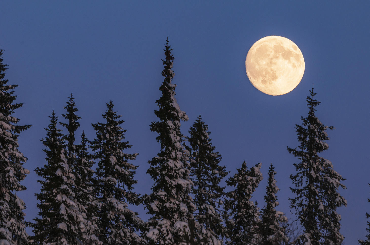 December's full moon impacts these 4 zodiac signs most