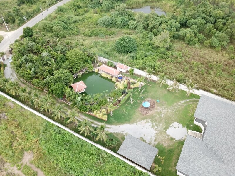 Homeowner shares stunning before-and-after photos after turning backyard into 'tropical forest ...